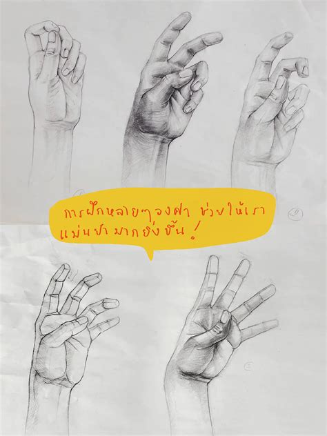 anatomy drawing การคนหาใน Lemon8