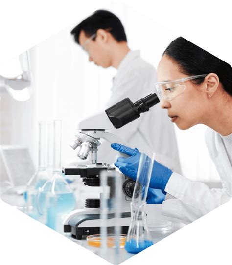 Small Molecule Inhibitors Targeting Key Enzymes In Cancer Therapy