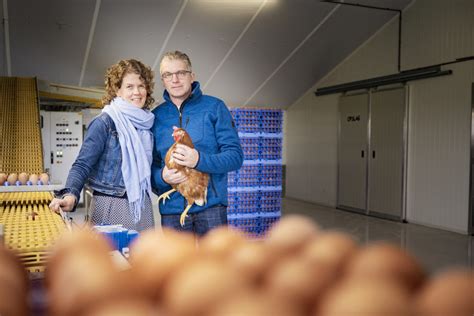 1440 Zonnepanelen Voor De Familie Knulst Energy Shift