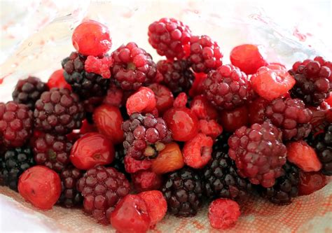 Homegrown Sour Beer Cherry Raspberry Blackberry And Mulberry The
