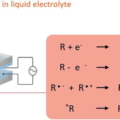 Illustrated Description Of The Prepared R ECL L El Cell Structure And