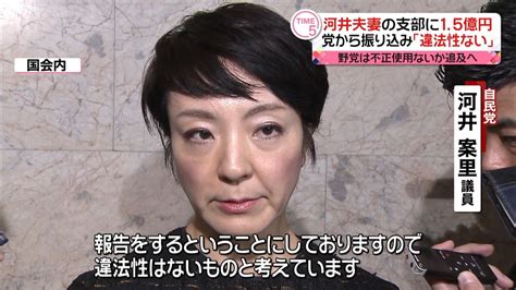 河井夫妻の支部に1．5億円「違法性ない」（2020年1月23日掲載）｜日テレnews Nnn