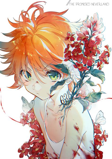 Tpn Wallpapers Wallpaper Cave