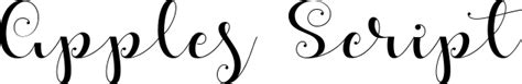 Apples Script Beautiful Calligraphy Font For Crafts And Designs