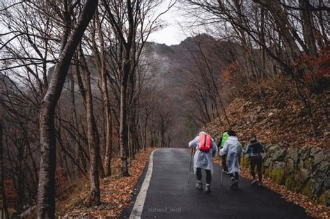 영축산 신불재 신불산 간월재 산행 영남알프스 9봉 인증 등산코스 수늘 아웃도어액티비티 네이버 블로그