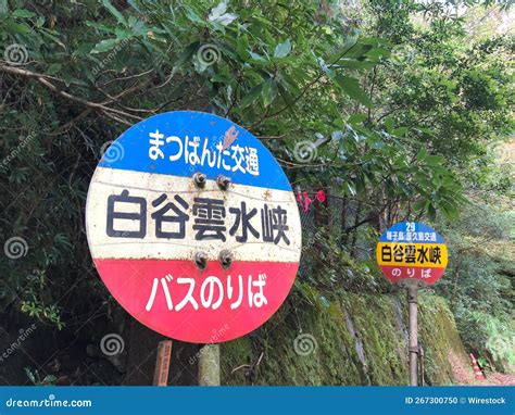 Pair Of Japanese Road Signs For A Bus Stop In Front Of Trees In