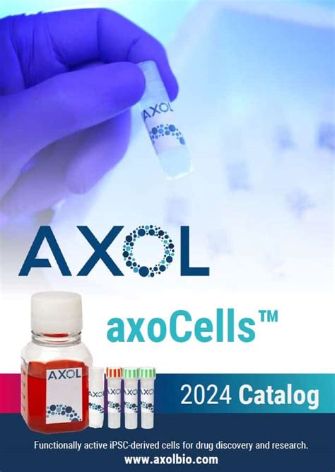 Human Ipsc Derived Motor Neuron Progenitor Kit Male