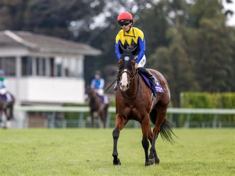 【オーシャンs枠順確定】ママコチャは6枠11番、ステークホルダーは2枠3番 競馬ニュース Netkeiba