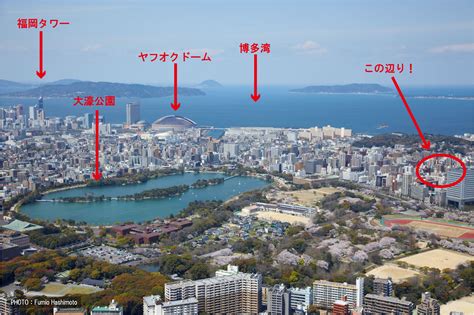 薬院店 ハッピーハウスブログ