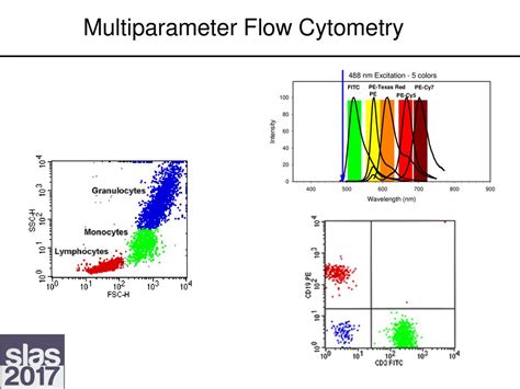 Measurement Of Cell Surface Receptors Ppt Download