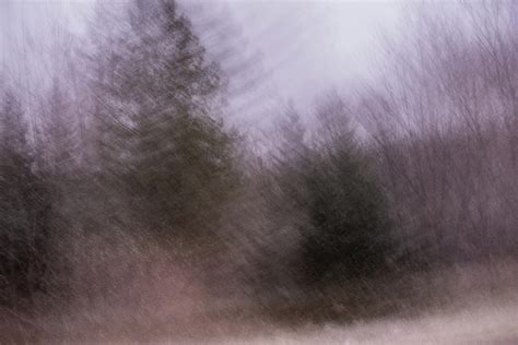 Flutter Print Photograph By Gregory Venarsky Fine Art America