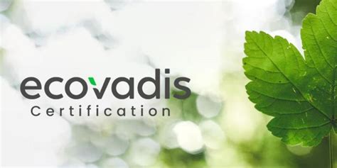 Ecovadis Certification Guide Process Ratings And Tips