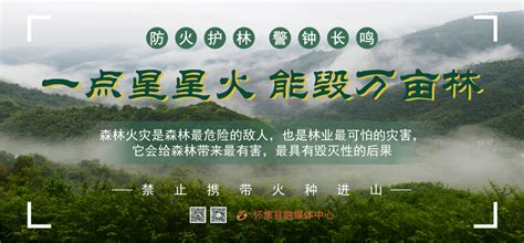 【网络中国节·二十四节气】清明时节，防火别忘！这组防火海报请收好→森林李卓灵制图