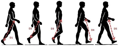 Validation Of Wired And Wireless Interconnected Body Sensor Networks