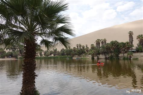 상상과는 달랐던 첫 사막