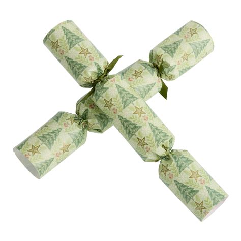 Large Green Fill Your Own Custom Christmas Crackers 8 Count World Market