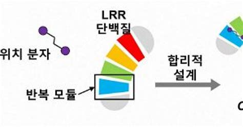 한국연구재단 빛을 이용해 세포속 다양한 신호전달을 조절하는 기술 개발
