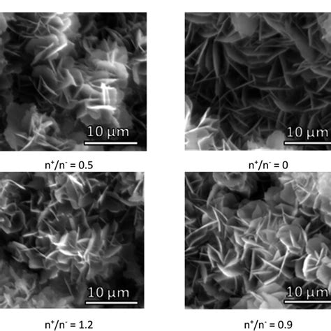 Sem Micrograph Of Caco3 Composite Microparticles With Pectins Or Download Scientific Diagram