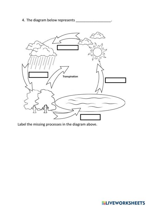 Monthly Science Test Worksheet Live Worksheets