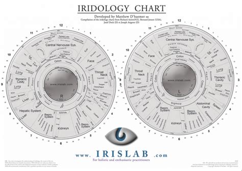 Free Iridology Chart Maikong Iridology Camera And Iriscope Leading