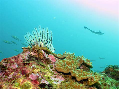 Govt To Promote Tourism To Myeik Archipelago