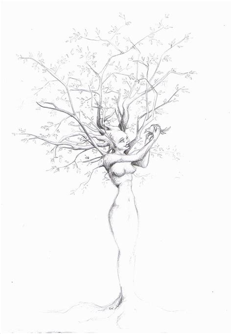 Tree Woman By Sylwia25 On DeviantArt