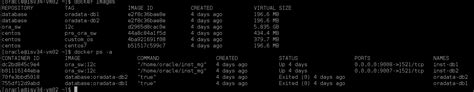 dockerizing oracle database