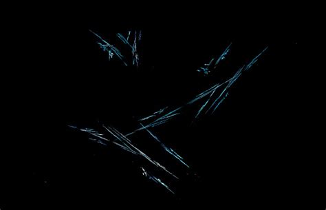 검은 배경에 흰색 파란색 프랙탈 패턴입니다 디지털 예술입니다 3d 렌더링입니다 컴퓨터 생성 이미지 겨울에 대한 스톡 사진 및 기타 이미지 Istock