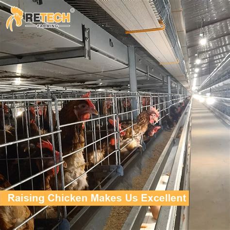 Automatic Chicken Farm Layer Poultry Battery Laying Hens Cages China