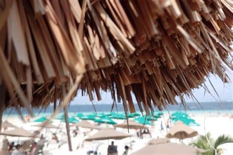 Welcome - My Paradise Beach Club