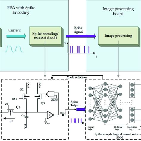 Block Diagram Of A Spike Encoding Fpa System Download Scientific Diagram