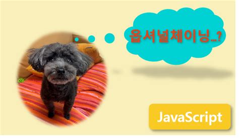 Js Optional Chaining