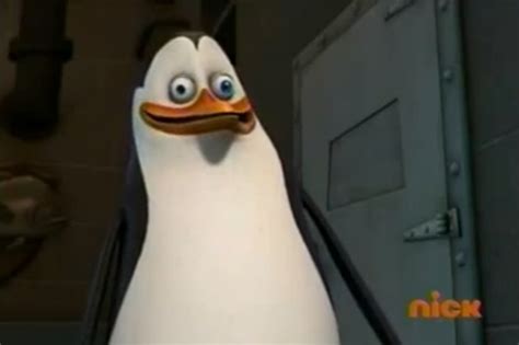Kowalski Is Crazy Oo Penguins Of Madagascar Photo 27702735 Fanpop