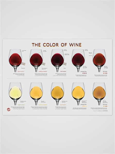 1995 The Color Of Wine Wine Folly Wine Drinks Wine Basics