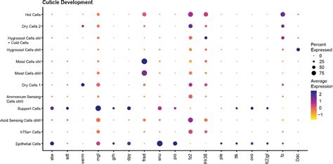 Cuticle Development Dot Plot Showing Expression Of Selected Genes Download Scientific Diagram