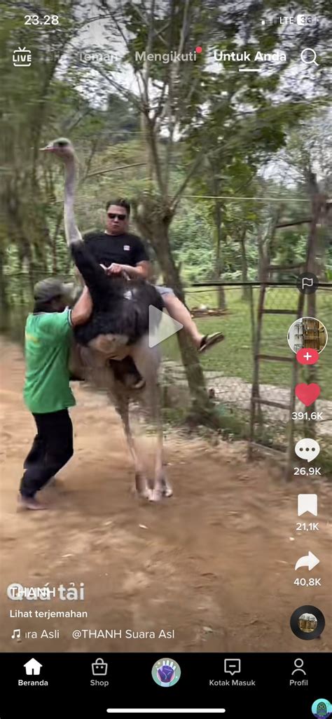 Tanyarl ㅡ Dilarang 🔞 On Twitter 💚 Kalian Udah Liat Ini Belum😭 Ntar