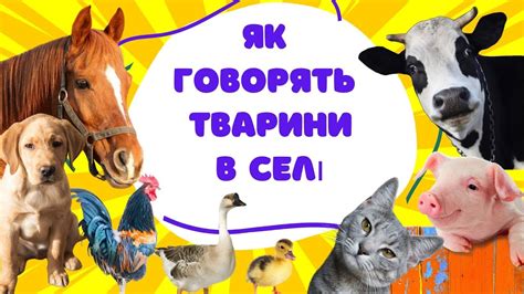 Вчимо назви та звуки свійських тварин Як говорять тварини Звуки тварин для дітей Навчальне