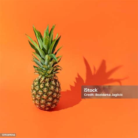 대담한 오렌지 배경에 맑은 날 그림자파인애플 과일 최소한의 여름 음식 개념 공간을 복사합니다 개념에 대한 스톡 사진 및 기타 이미지 Istock