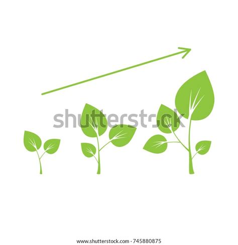 Tree Growth Diagram Illustration Stock Illustration 745880875 Shutterstock