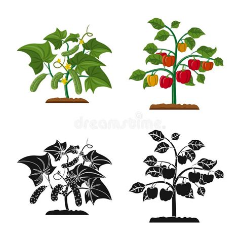 温室和植物标志传染媒介设计 R 向量例证 插画 包括有 徽标 生气勃勃 美食 饮食 健康 收集 153361249