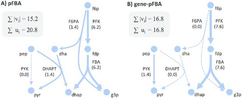 PFBA Simulation Of A Single Solution Difference In Simulation Results