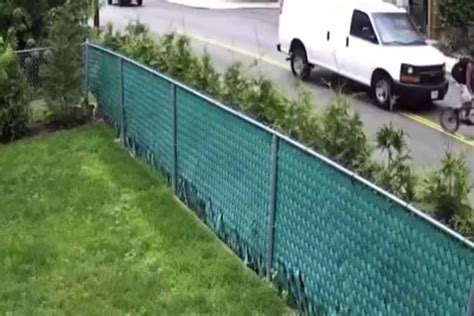 Video Câmeras Flagram Atropelamento De Brasileiro De 14 Anos Nos Eua