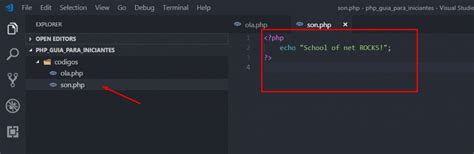 Php Guia Completo Para Iniciantes Blog School Of Net