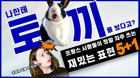 재밌는 프랑스어 원어민들이 매일 같이 쓰는 표현 그냥 들어서는 추측 불가능 불어 프랑스어회화 프랑스어배우기 Youtube