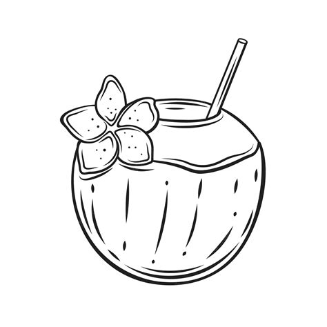 Premium Vector Coconut Cocktail