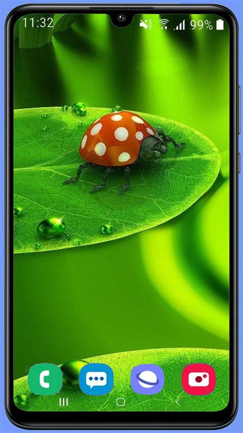 Ladybug Wallpaper Hd Apk للاندرويد تنزيل