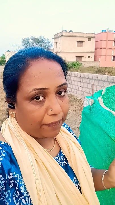 வேலிய பயிர் மே யுமா🤣🤣🤣 Youtube