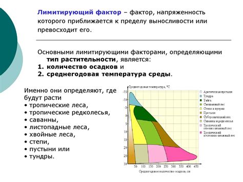 Основные понятия экологии Экология человека презентация онлайн
