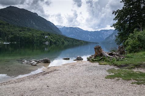 경치가 아름 다운 호수 Bohinj 여름 슬로베니아 0명에 대한 스톡 사진 및 기타 이미지 0명 경관 관광 Istock