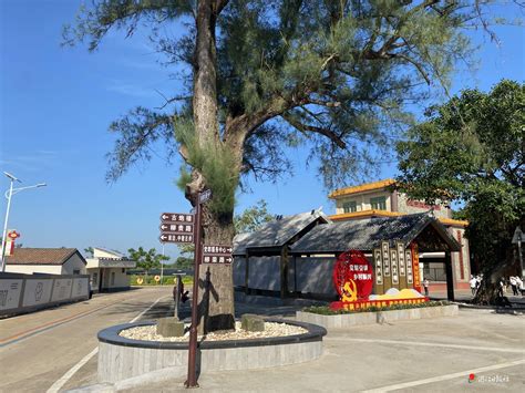 麻章区湖光镇那柳村：打造麻章“未来乡村”示范样板湛江云媒（湛江新闻网）